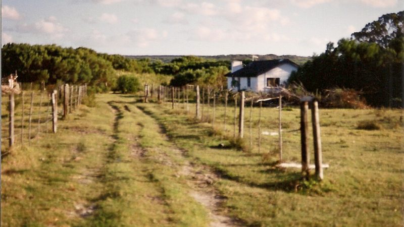 About us – Springfontein Wine Estate