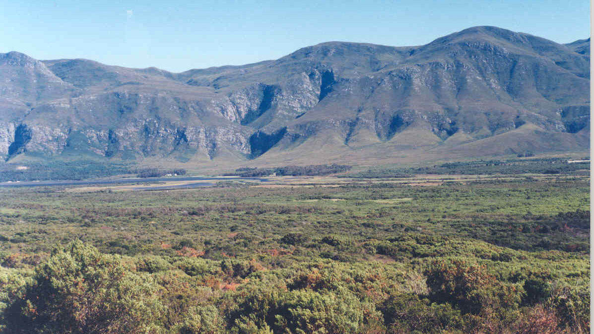 About us – Springfontein Wine Estate