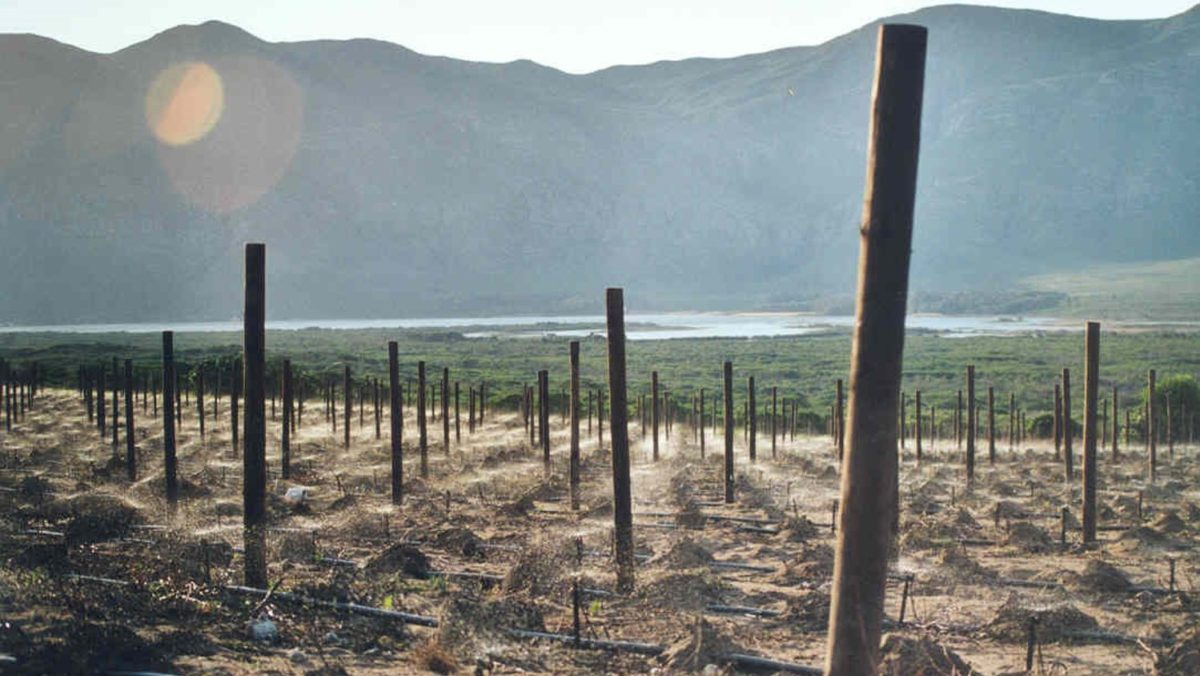 About us – Springfontein Wine Estate