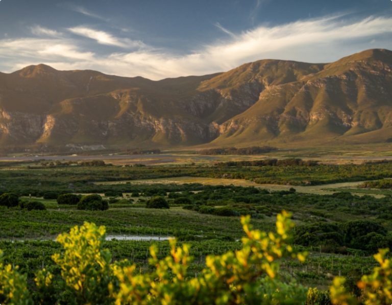 Springfontein Wine Estate – Organic wines of origin Springfontein Rim