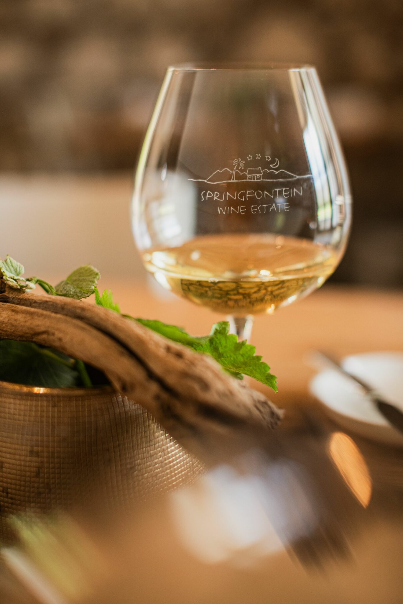 WORTELGAT Wine Dining – Springfontein Wine Estate